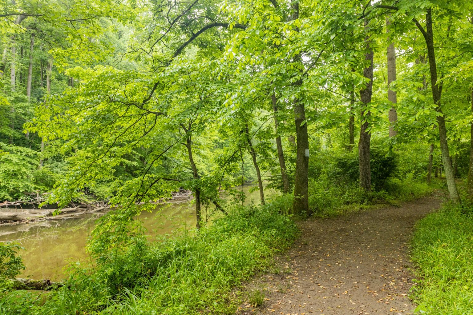 Delaware State Parks | Delaware Community Foundation (DCF)